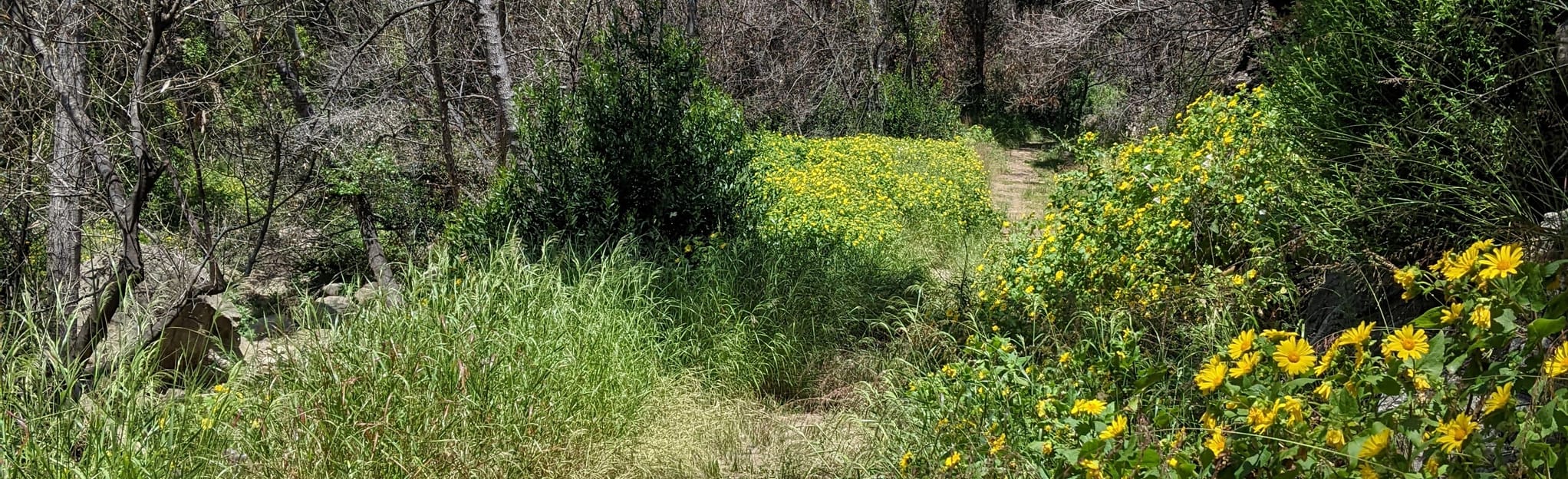 Baron Ranch Trail, California - 161 Reviews, Map | AllTrails