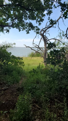 Best Hikes and Trails in Lake Bryan Park | AllTrails