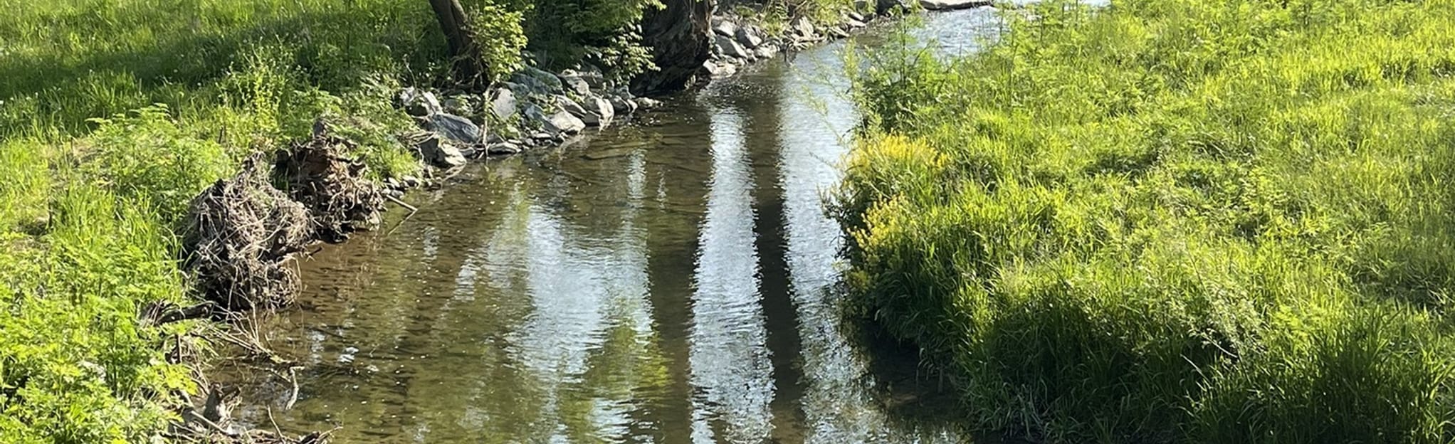 Ironton Rail Trail, Pennsylvania - 1,152 Reviews, Map | AllTrails