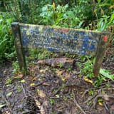 Cross Island Track and The Needle, Rarotonga, Cook Islands - 148 ...
