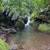 Cross Island Track and The Needle, Rarotonga, Cook Islands - 148 ...