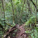 Cross Island Track and The Needle, Rarotonga, Cook Islands - 148 ...