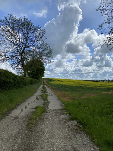 10 Best Trails, Walks, and Paths in Saffron Walden | AllTrails