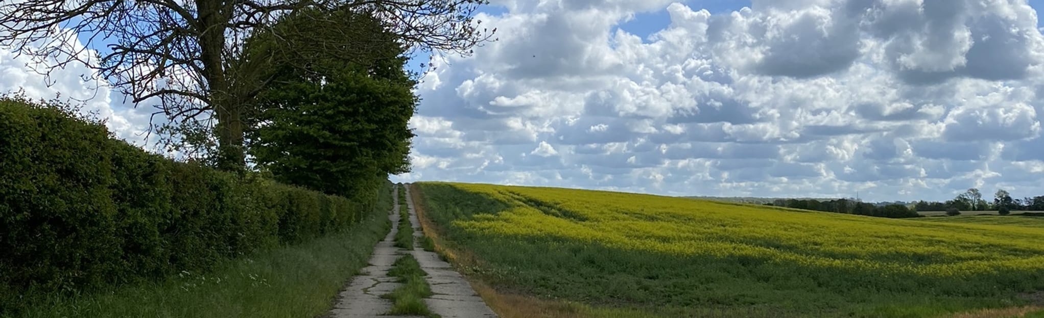 Bartlow - Steventon End - Ashdon Circular, Essex, England - 30 Reviews ...