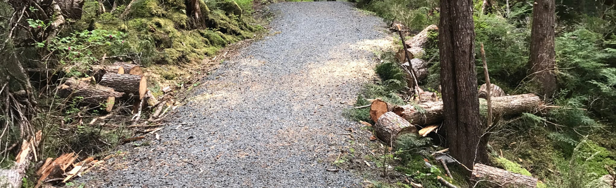 Sitka Cross Trail: Cascade Creek to Kramer Trailhead: 13 Reviews, Map ...