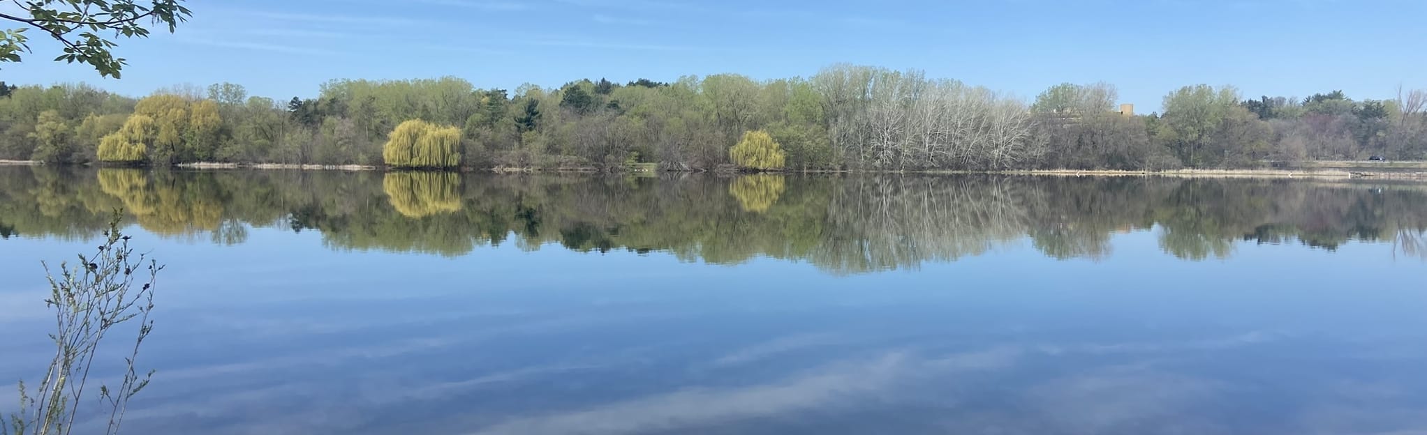 Wirth Lake Trail: 110 Reviews, Map - Minnesota | AllTrails