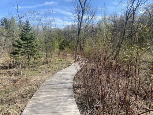 2023 Best Short Trails in Theodore Wirth Park | AllTrails