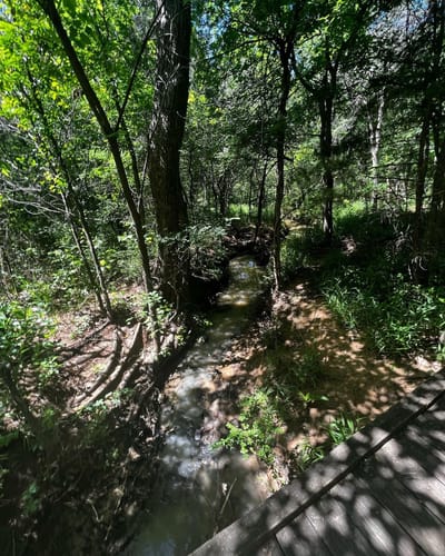 Best Hikes and Trails in Veterans Park | AllTrails