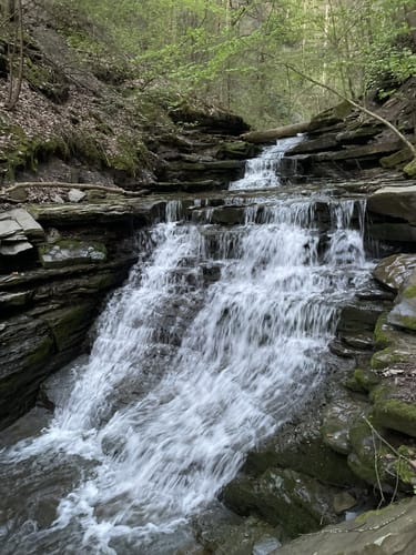 Best Hikes and Trails in High Tor Wildlife Management Area | AllTrails