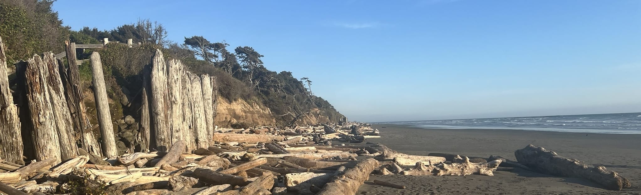 Kalaloch to Browns Point Trail: 232 Reviews, Map - Washington | AllTrails