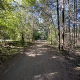 Larry Scott Trail, Washington - 377 Reviews, Map | AllTrails