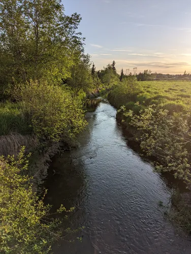 10 Best Trails and Hikes in Langley | AllTrails