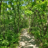 Pembina Rim Trail, Manitoba, Canada - 373 Reviews, Map | AllTrails