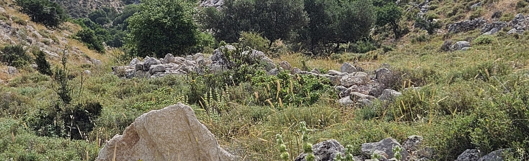 Dolev River: 6 Reviews, Map - Jerusalem, Israel | AllTrails