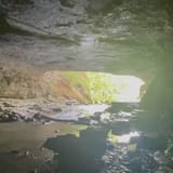 Buggytop Trail to Lost Cove Cave, Tennessee - 681 Reviews, Map | AllTrails