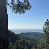 Lefthand Canyon Trail, Colorado - 473 Reviews, Map | AllTrails