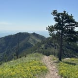 Lefthand Canyon Trail, Colorado - 473 Reviews, Map | AllTrails