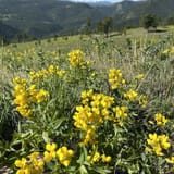 Lefthand Canyon Trail, Colorado - 473 Reviews, Map | AllTrails