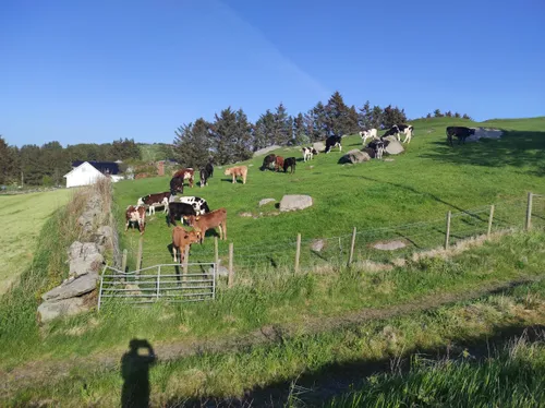 Best Hikes and Trails in Tjelta | AllTrails