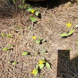 Sage Hen Reservoir Trail, Idaho - 55 Reviews, Map | AllTrails