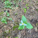 Sage Hen Reservoir Trail, Idaho - 55 Reviews, Map | AllTrails