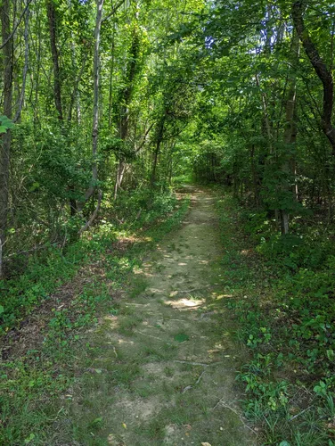 Best Hikes and Trails in Chaptico Park | AllTrails