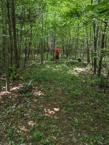 Best Hikes and Trails in Chaptico Park | AllTrails