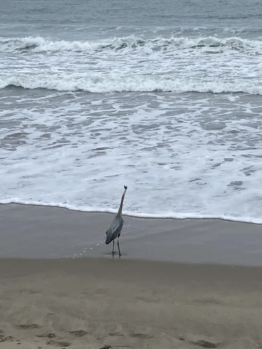 Best Hikes and Trails in Silver Strand State Beach | AllTrails