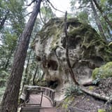 Tafoni Sandstone Formation via Tafoni, Fir, and Methuselah Loop ...