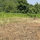 Assunpink Wildlife Management Area Trails, New Jersey - 205 Reviews ...