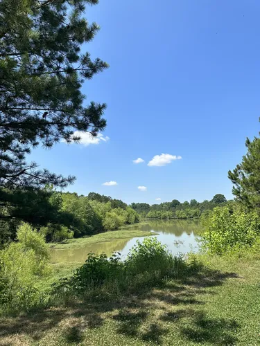 Best Stroller Friendly Trails in Mount Berry | AllTrails