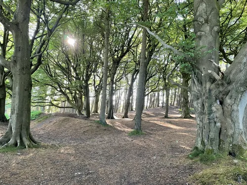 2023 Best Moderate Trails in Beecraigs Country Park | AllTrails