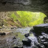 Buggytop Trail to Lost Cove Cave, Tennessee - 707 Reviews, Map | AllTrails