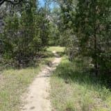 Pace Bend Park Trail, Texas - 536 Reviews, Map | AllTrails