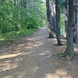Haggetts Rail Trail to Haggetts Pond, Massachusetts - 409 Reviews, Map ...