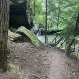 Caney Creek Falls Trail, Alabama - 631 Reviews, Map | AllTrails