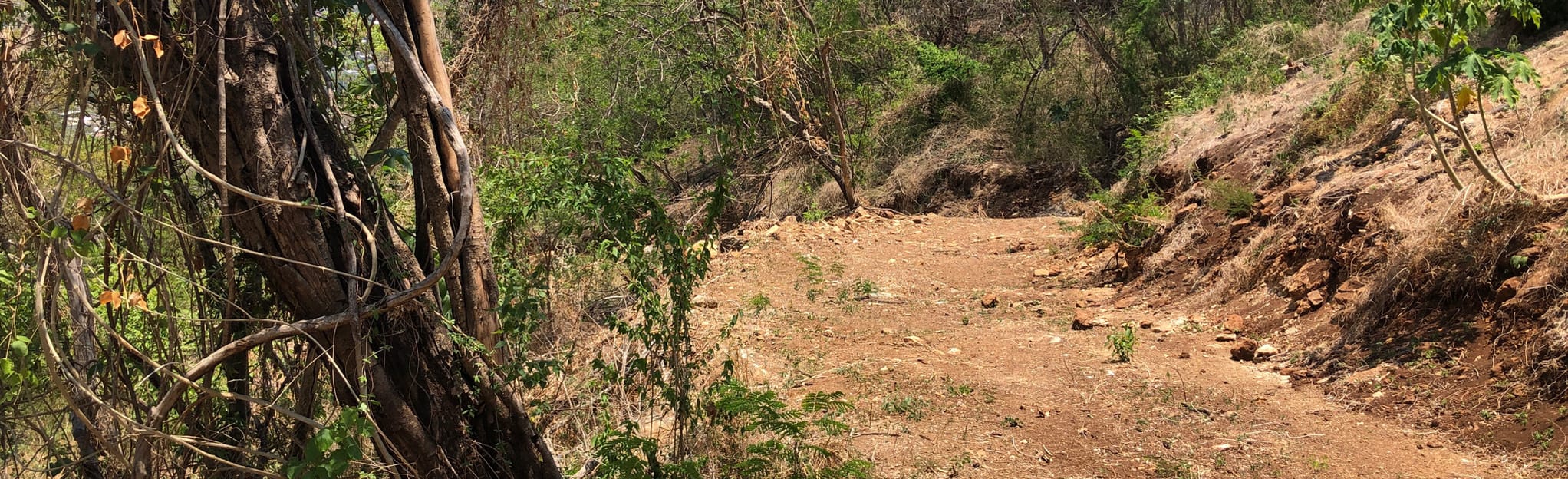 Cerro Viejo Zihuatanejo: 2 Photos - Guerrero, Mexico | AllTrails
