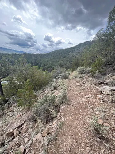 10 Best Trails and Hikes in Questa | AllTrails