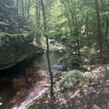 Bushkill Falls Red Trail, Pennsylvania - 574 Reviews, Map | AllTrails