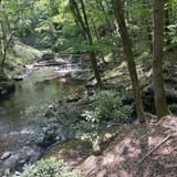 Bushkill Falls Red Trail, Pennsylvania - 574 Reviews, Map | AllTrails