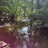 Bushkill Falls Red Trail, Pennsylvania - 574 Reviews, Map | AllTrails