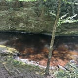 Bushkill Falls Red Trail, Pennsylvania - 574 Reviews, Map | AllTrails