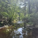 Bushkill Falls Red Trail, Pennsylvania - 574 Reviews, Map | AllTrails