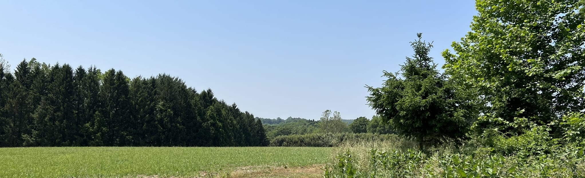 Octoraro Trail Loop, Pennsylvania - 107 Reviews, Map | AllTrails