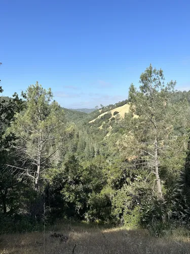 Best Hikes and Trails in Moore Creek Park | AllTrails