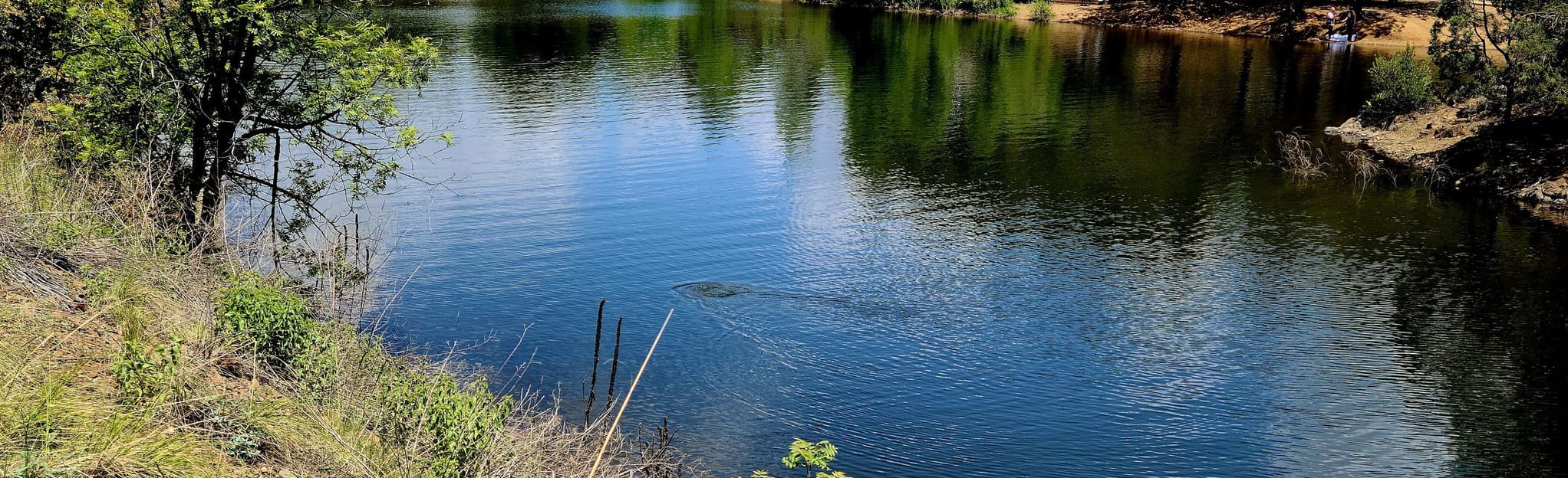 Lynx Homestead, Lake, and Recreation Loop: 96 Reviews, Map - Arizona ...