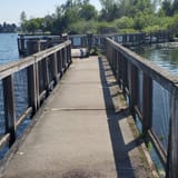 Foster Island Trail, Washington - 601 Reviews, Map | AllTrails