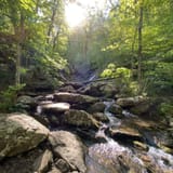 Jones Run Falls Trail, Virginia - 722 Reviews, Map | AllTrails
