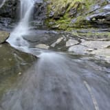 Jones Run Falls Trail, Virginia - 722 Reviews, Map | AllTrails