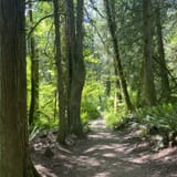 Grand Ridge Park Trail, Washington - 427 Reviews, Map | AllTrails